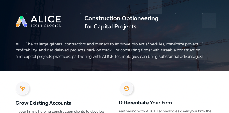 ALICE for Consultants